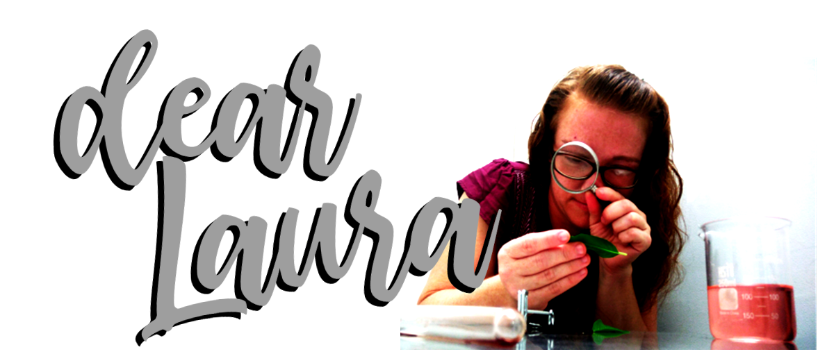 Dear Laura | Word on the Street Magazine